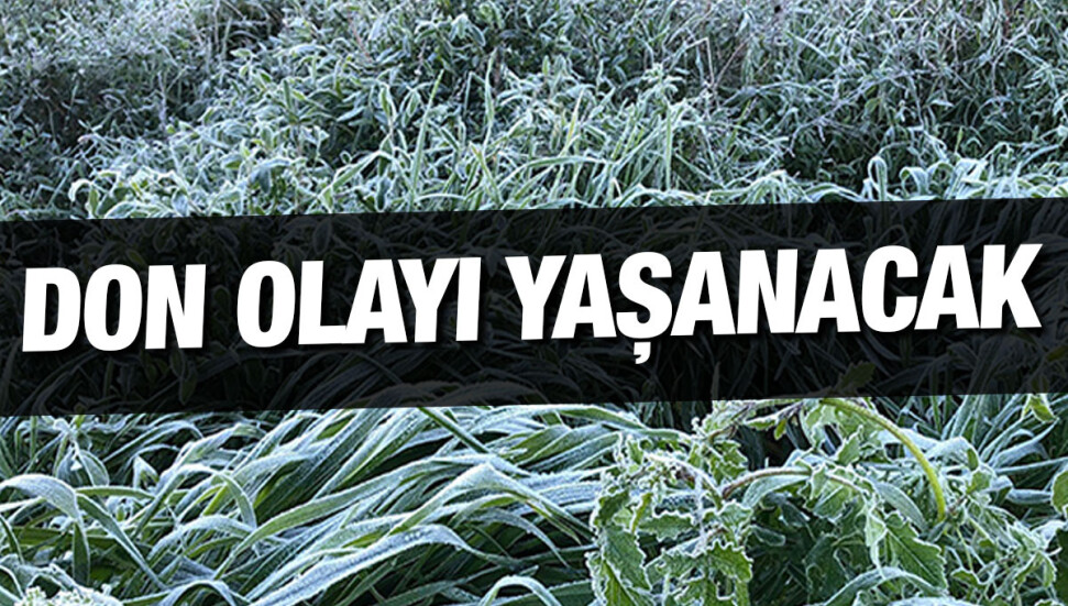 Yarından itibaren 3 gün boyunca sabah saatlerinde don olayı yaşanması