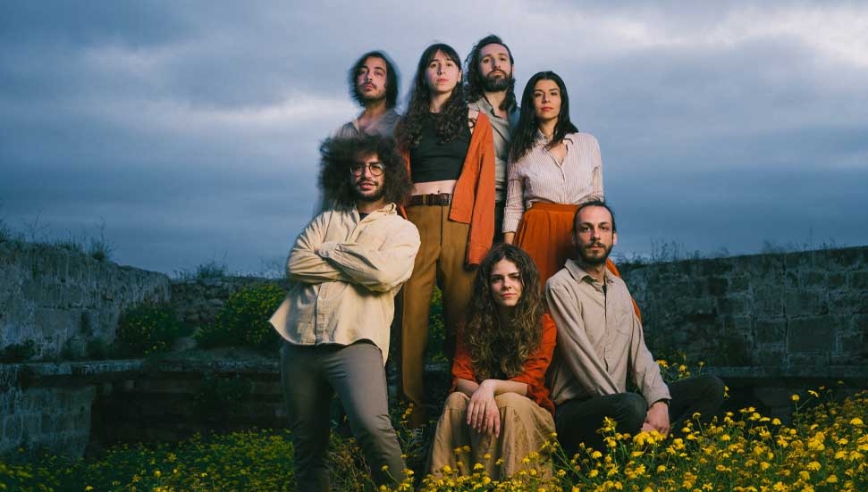 Island Seeds, ilk single'ı "Stray Cat" (Sokak Kedisi) yayınlandı